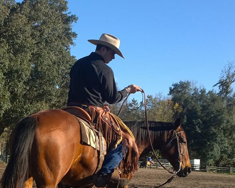 Colt Starting – Raising the Baar